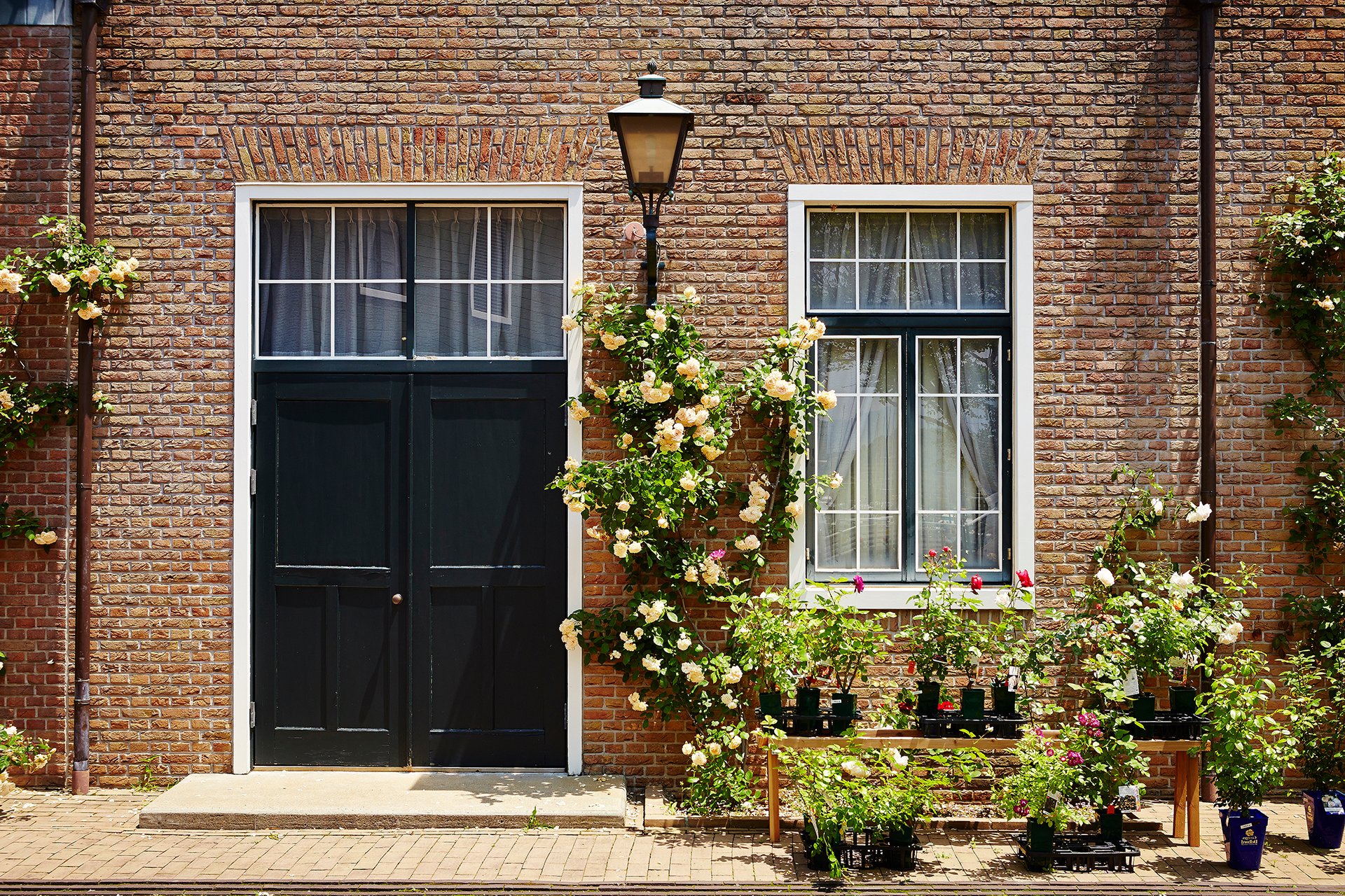 Windows and Doors | TRICORD Roofing